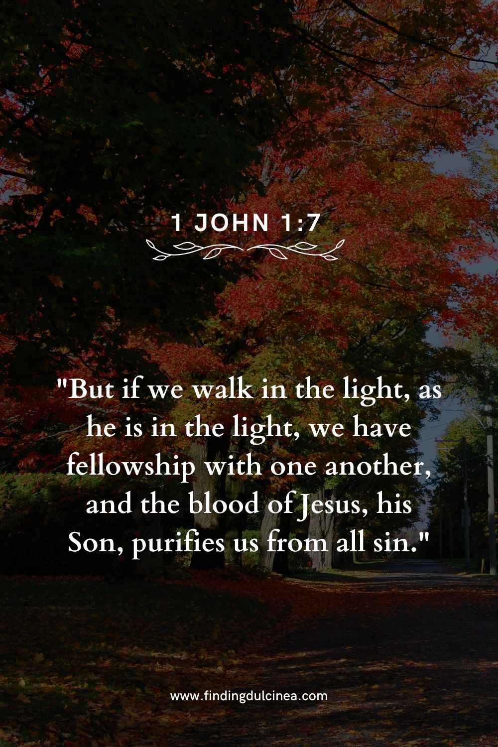 15 Bible Verse for October to Uplift Your Fall Days