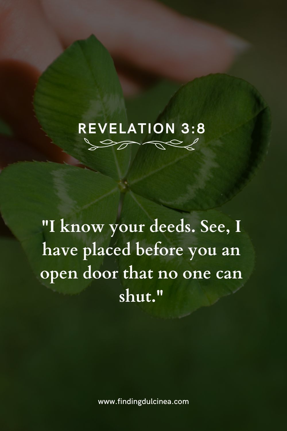 15 Bible Verse for Good Luck You Should Know Today