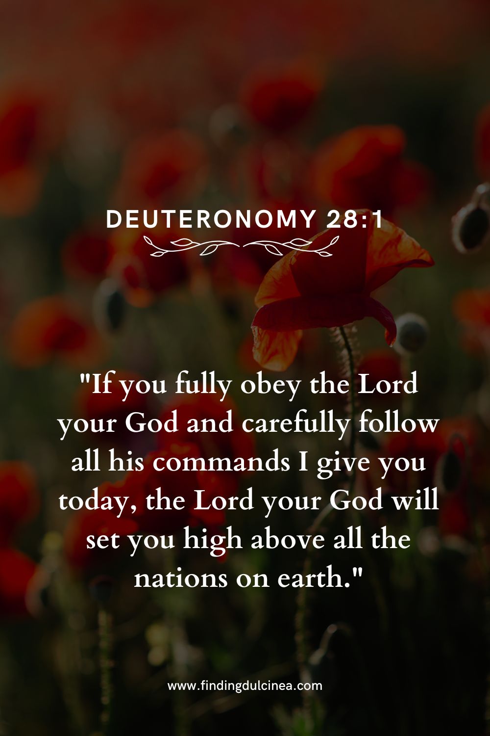 17 Bible Verse for Obedience You Need to Reflect On