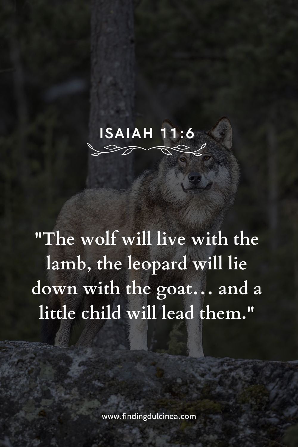 15 Bible Verses About Animals You Should Read Today