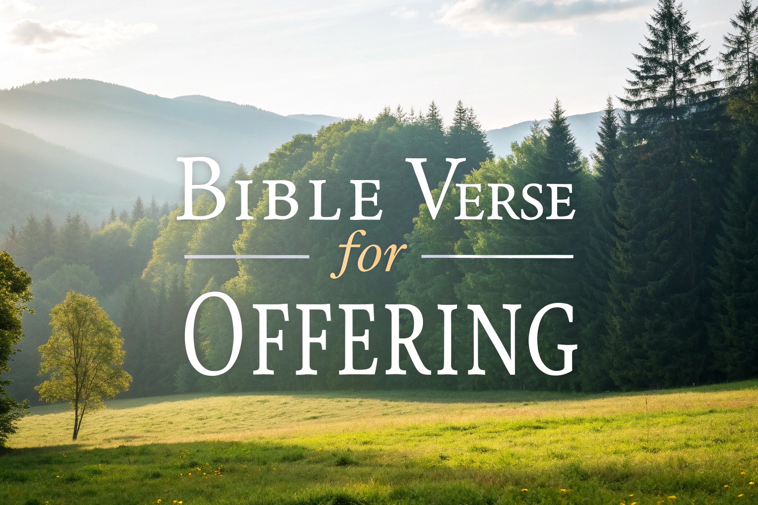 19 Bible Verse for Offering That Will Inspire Giving