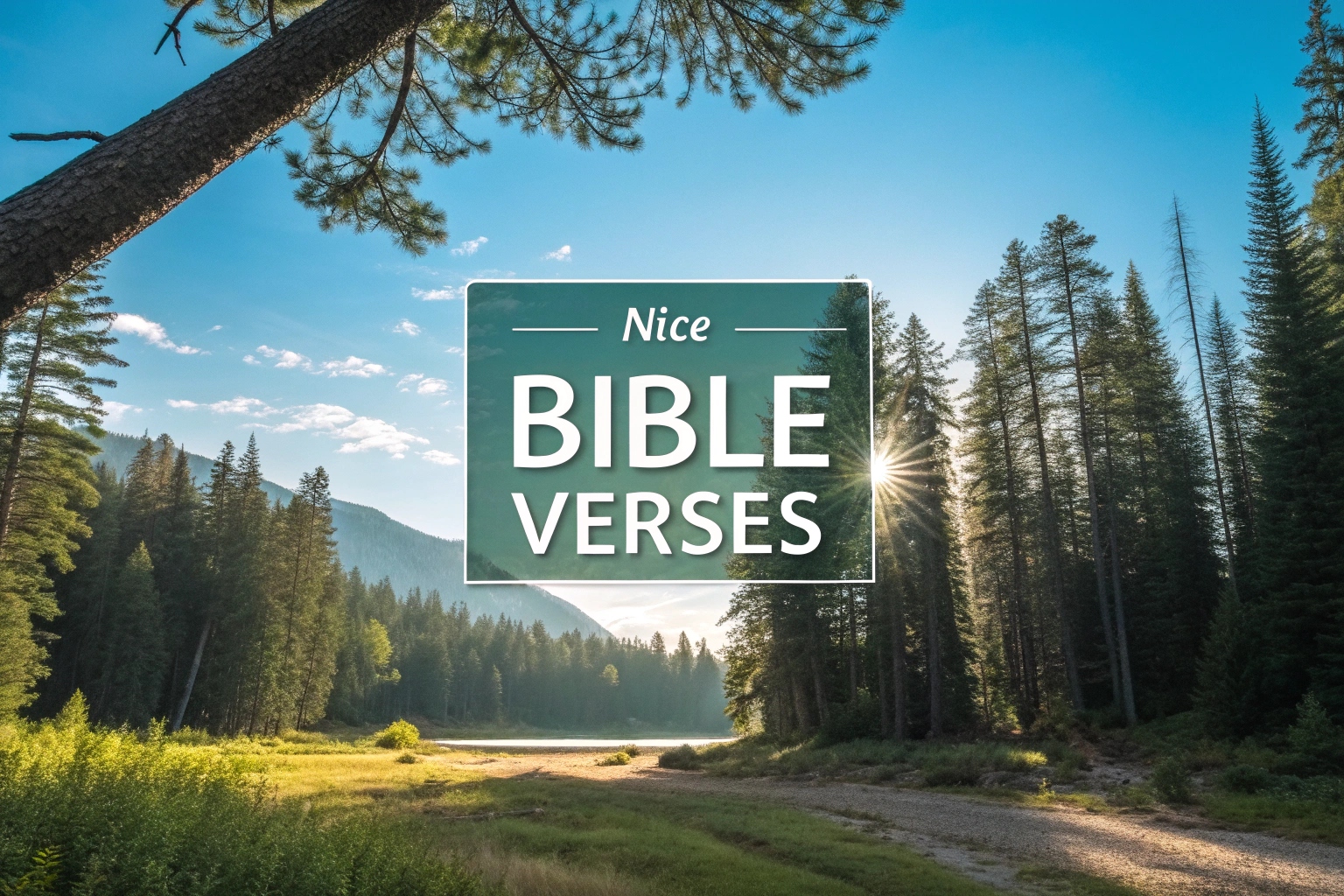 15 Nice Bible Verses You’ll Want to Reflect On Daily