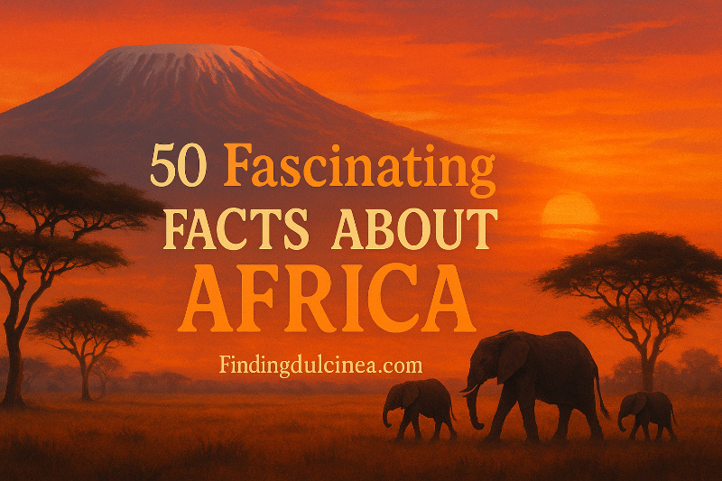50 Fascinating Facts About Africa: The Ultimate Guide to the Cradle of ...