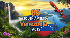 85 South America Venezuela Facts (2025)