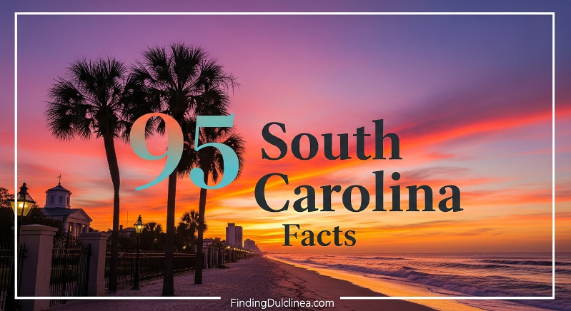 95 South Carolina Facts That Will Amaze You in 2026