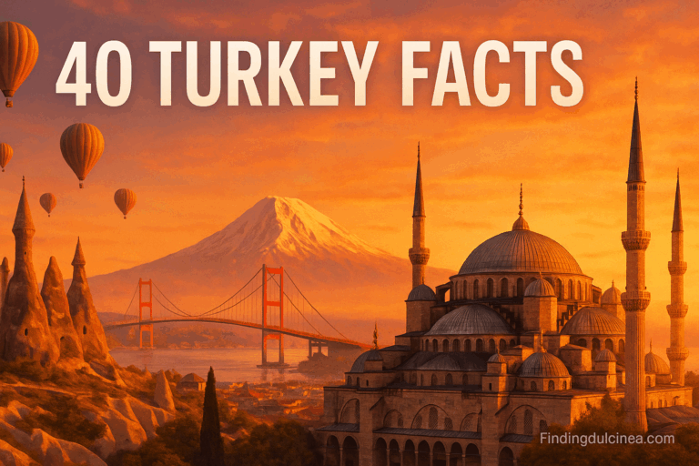 40 Turkey Facts: Discover the Fascinating Secrets of This ...