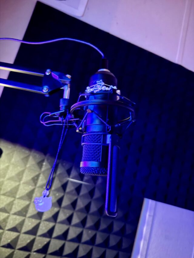 8 Best Pop Filters for Recording (May 2026)