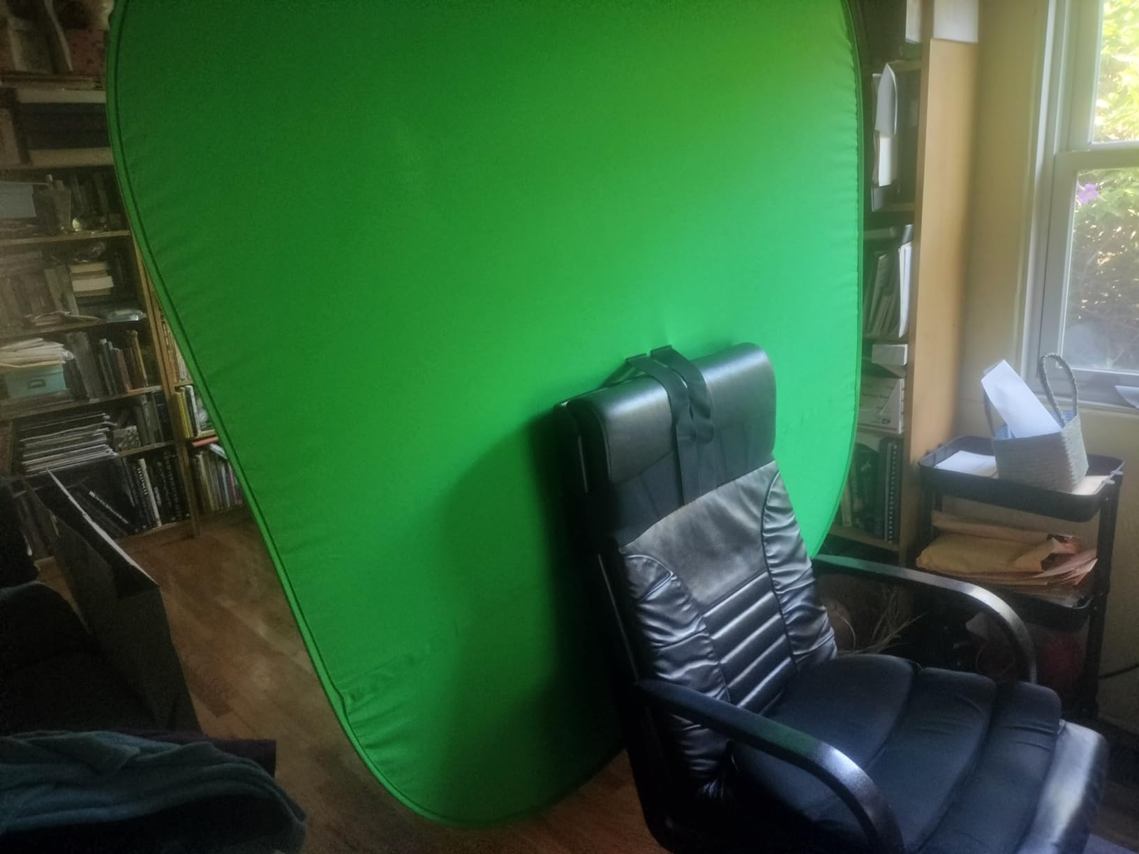 6 Best Green Screens for Video (December 2025)