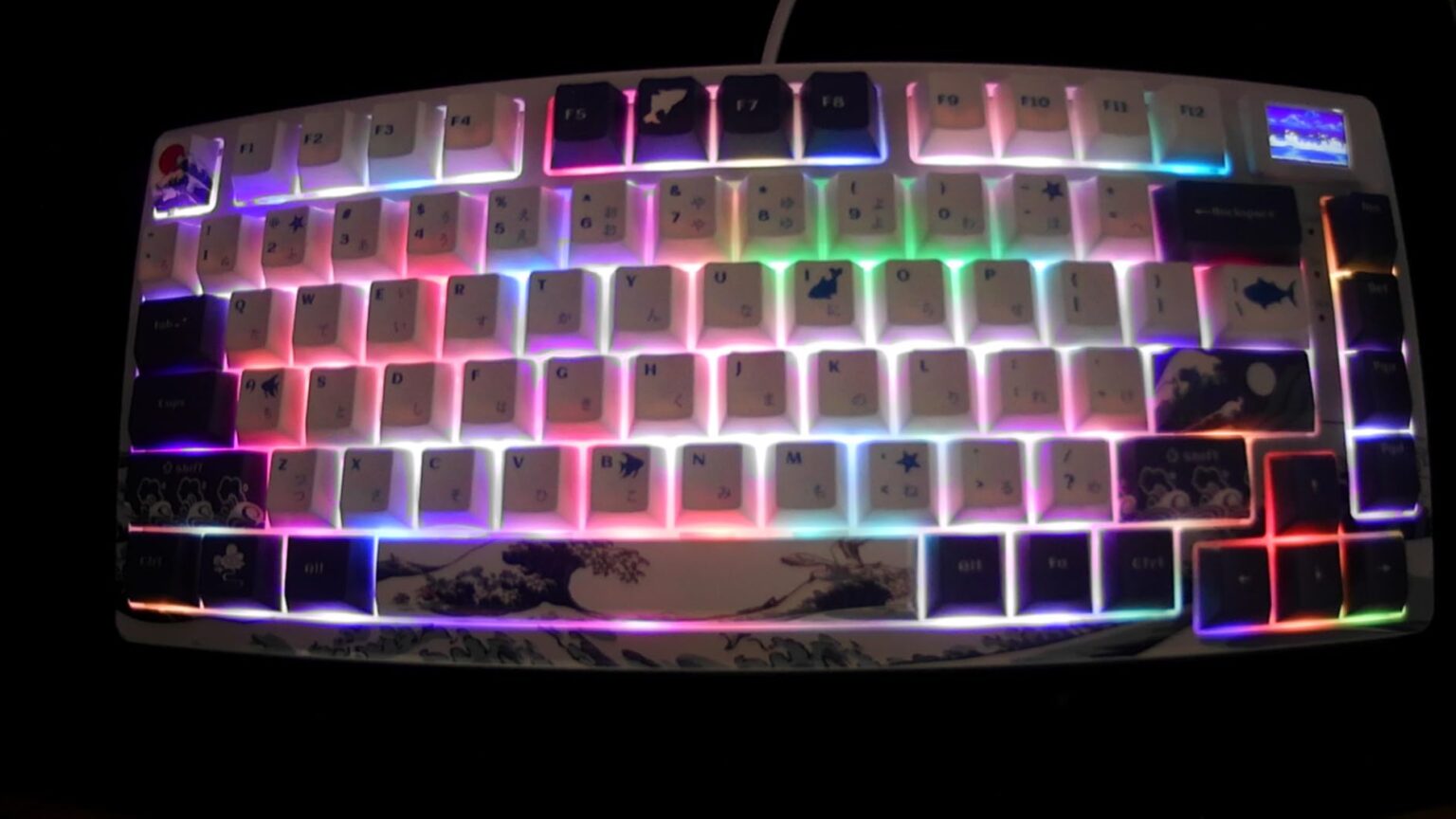 9 Best Custom Gaming Keyboards (May 2026) Tested & Reviewed